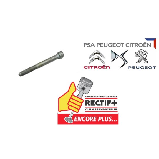 KIT DE BRIDE POUR MOTEUR PSA DW10 2.0 HDI 150 ET 163 HP 1982J3 1982G2