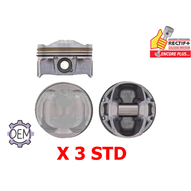 PK251000 PM014400 039PI00134000 15602 1610815680 P5304 130037003821